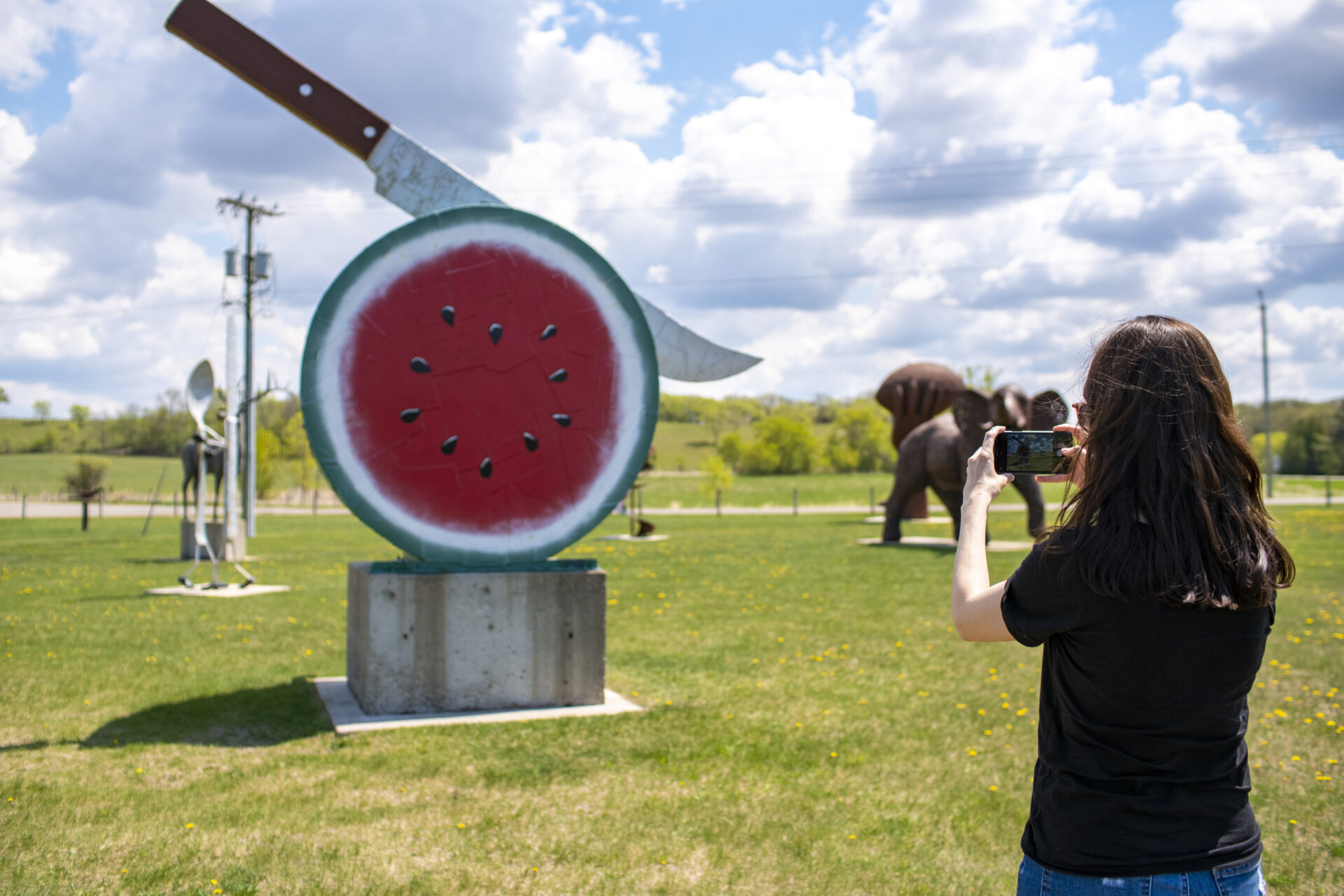 Nyberg Sculpture Park - Otter Tail Lakes Country Association