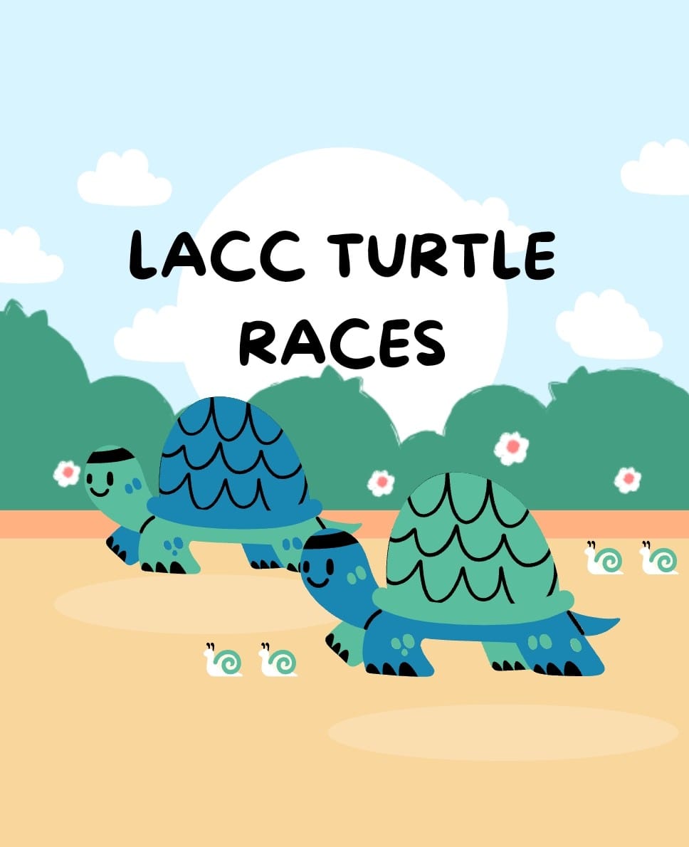 LACC Turtle Races - Otter Tail Lakes Country Association